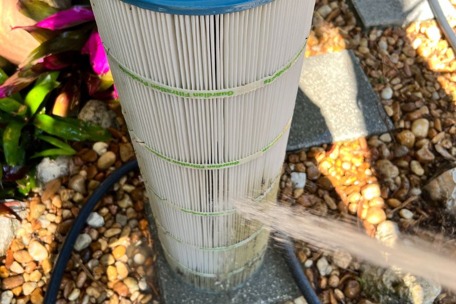 South Tampa Pool Service | Pink Walrus Pool Care